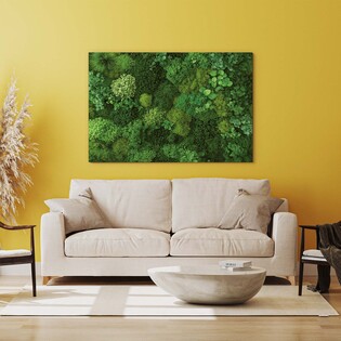 Nyomtatott moha kép a falra | DUBLEZ